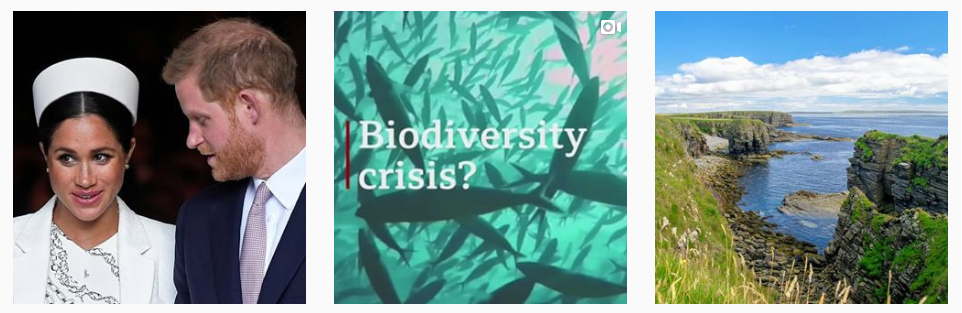 The 10 Best News Sites on Instagram - EzyInsights